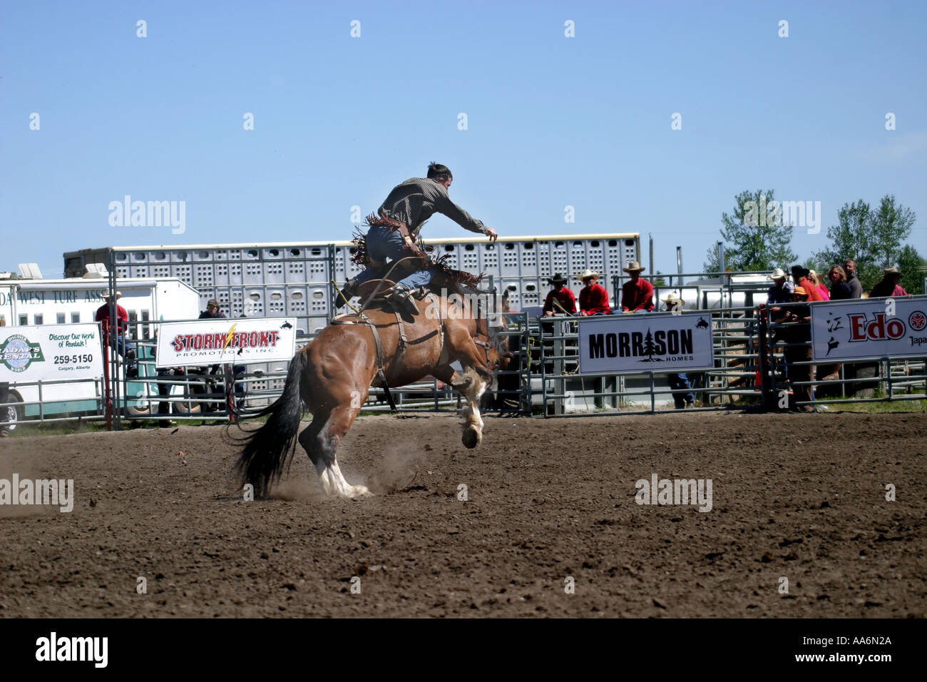 Rodeo Alberta Canada Bronco Riding Stock Photo - Alamy