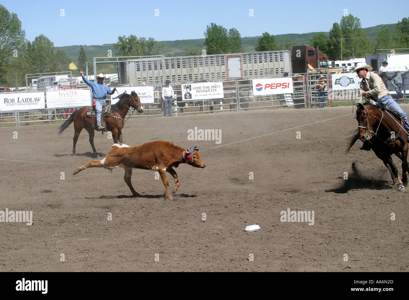 Rodeo Alberta Canada Team roping Stock Photo - Alamy