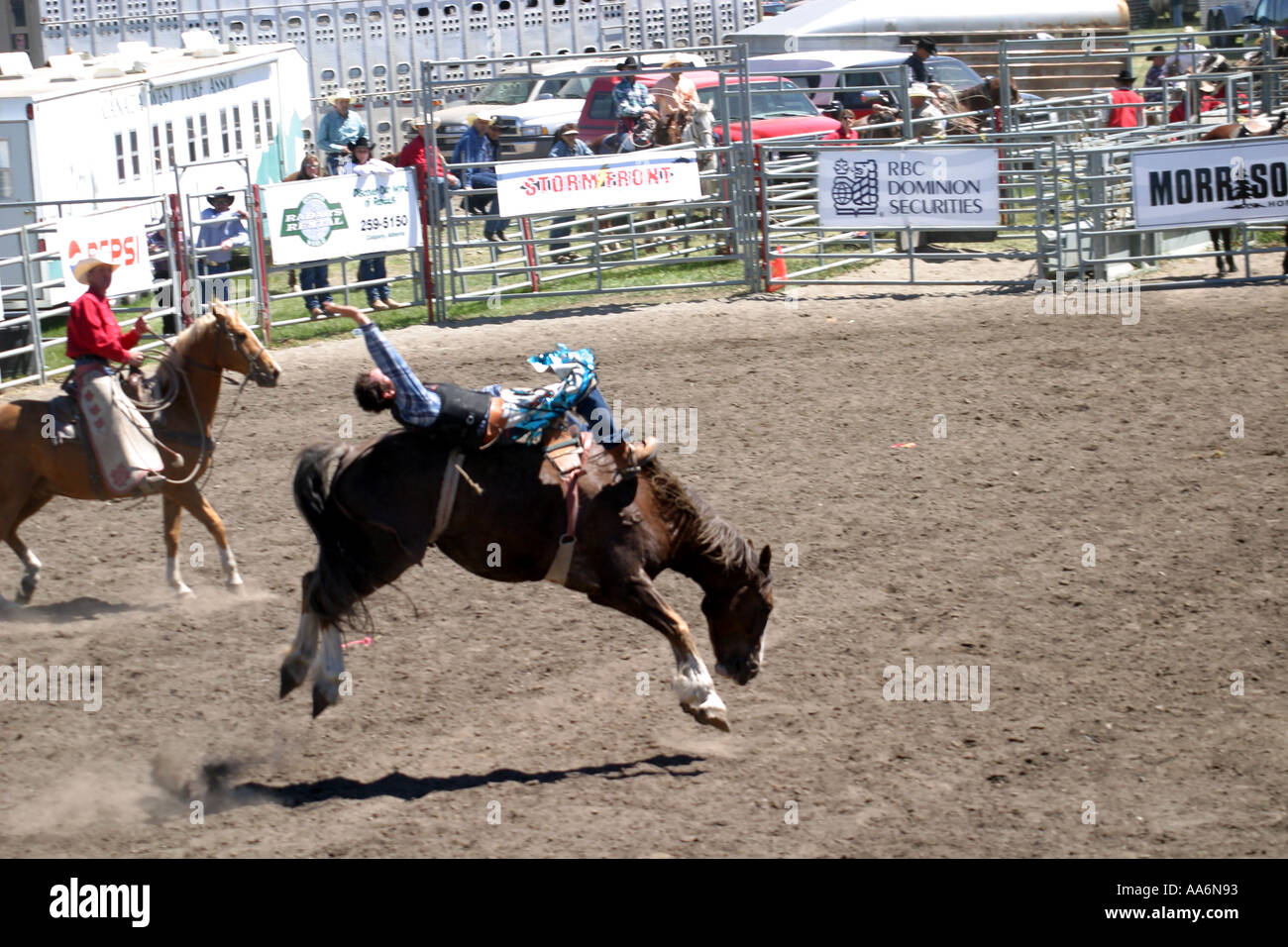 Rodeo Alberta Canada Bronco Riding Stock Photo - Alamy