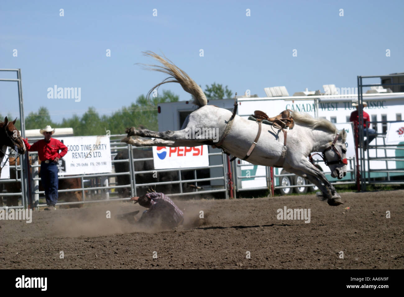 Rodeo Alberta Canada Bronco Riding Stock Photo - Alamy