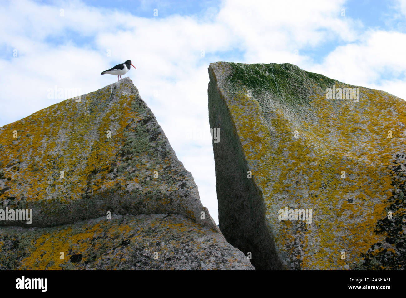 glacial boulder cracked through middle fionnphort isle of mull scotland ...