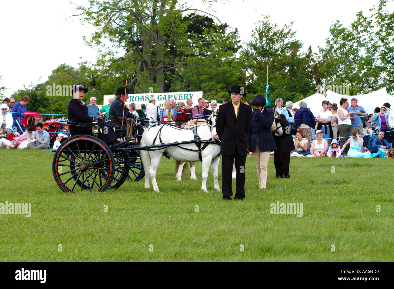 Pony and trap being driven in competition area Stock Photo - Alamy