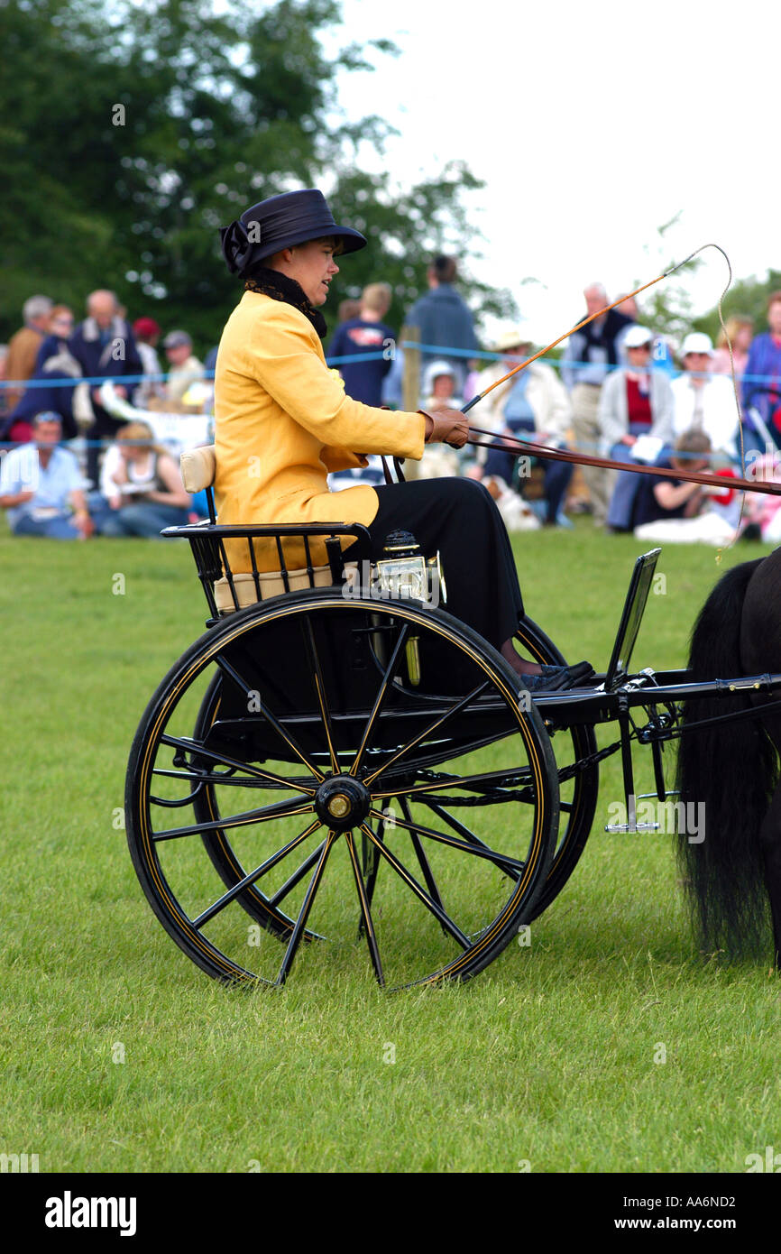 Pony and trap being driven in competition area Stock Photo - Alamy