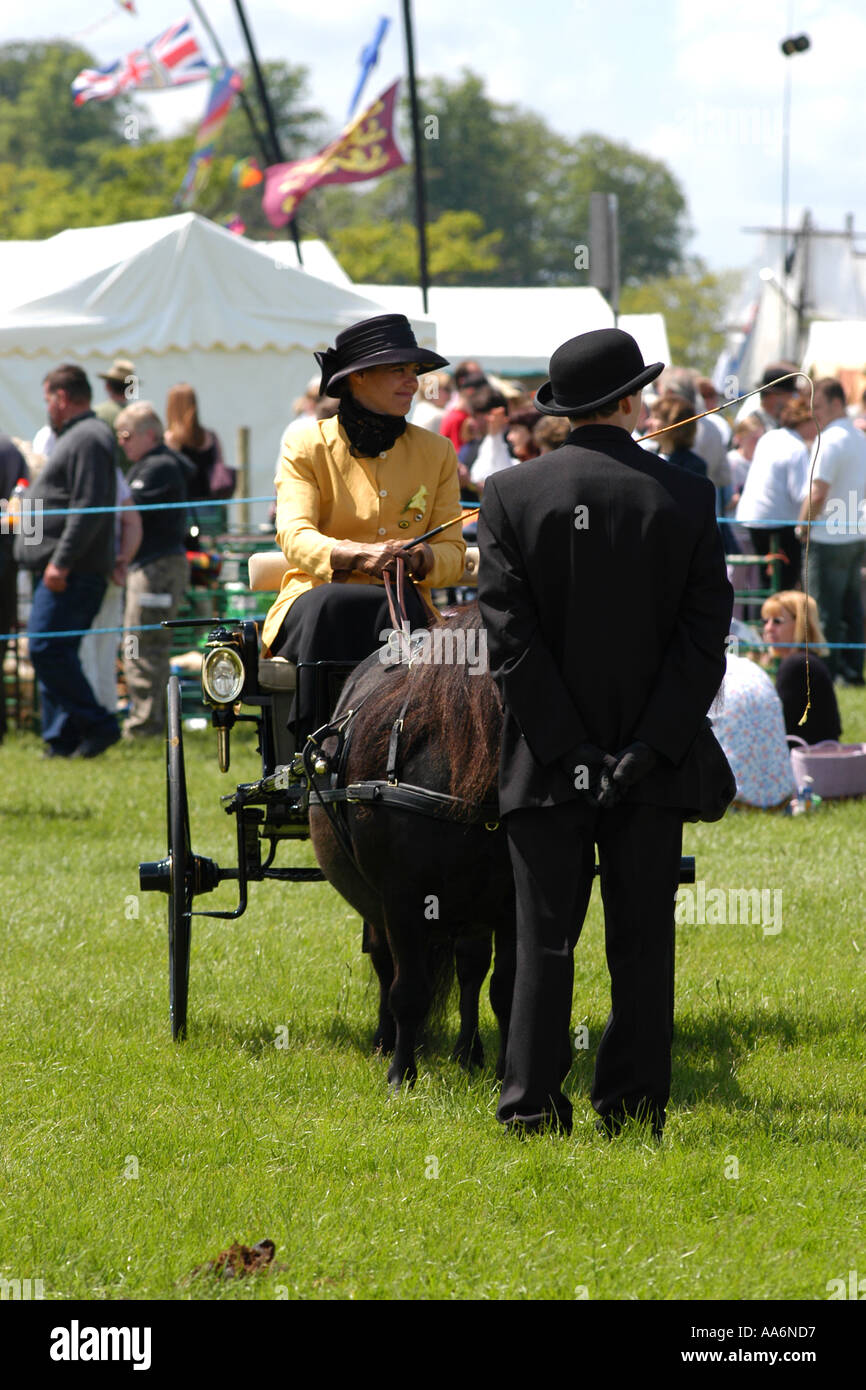 Two wheeled gig hi-res stock photography and images - Alamy
