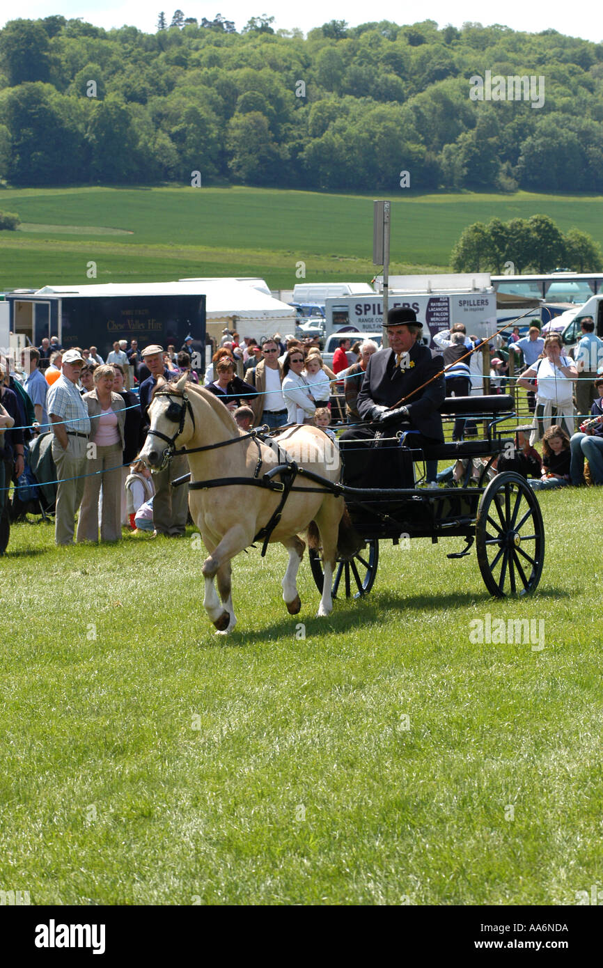 Horse drawn gig hi-res stock photography and images - Alamy