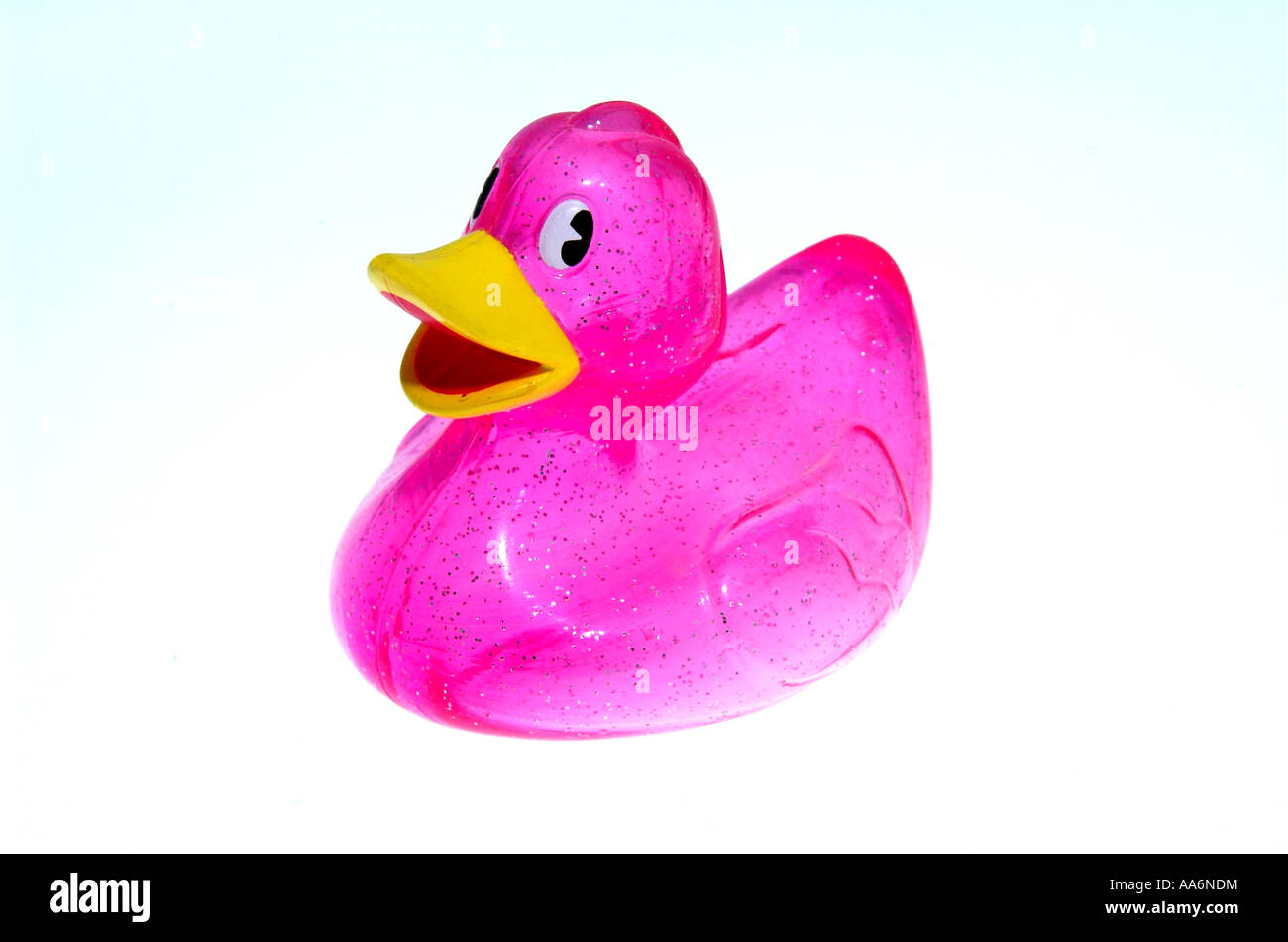 fuschia pink rubber toy duck with bright yellow open beak Stock Photo ...