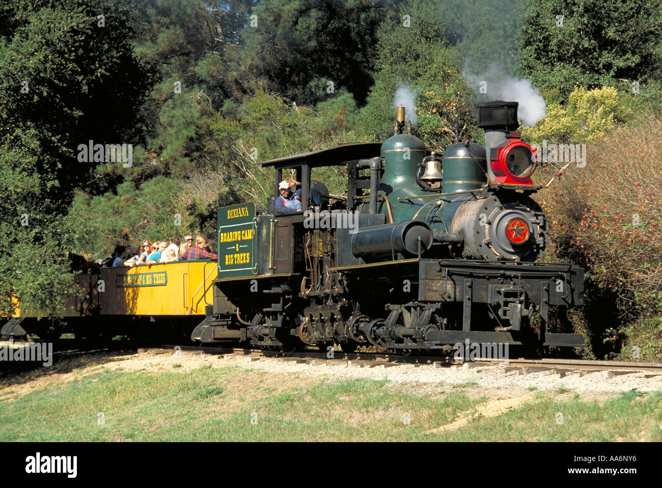 Roaring Camp Train Vip