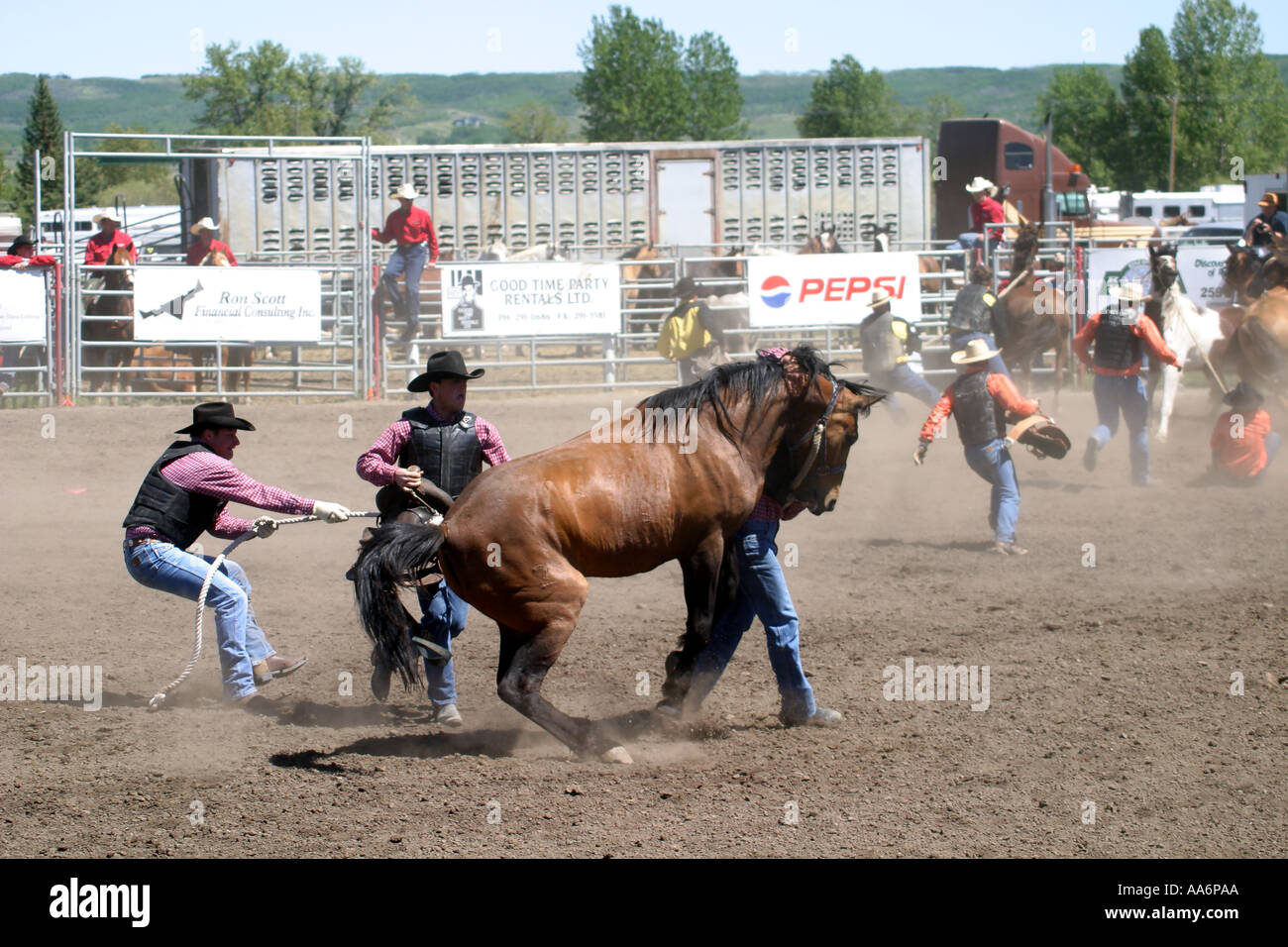 Cowboy on horse, jumping hi-res stock photography and images - Alamy