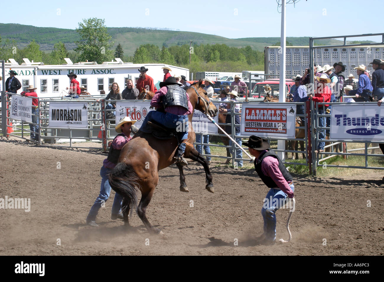 Wild horse race hi-res stock photography and images - Alamy