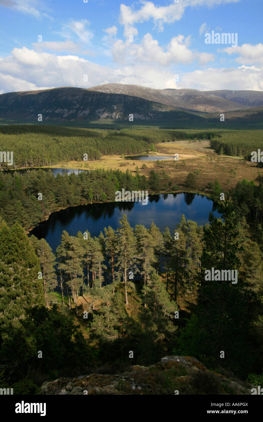 Inshriach Forest Uath Lochan cairngorm mountains beyond scotland uk gb ...