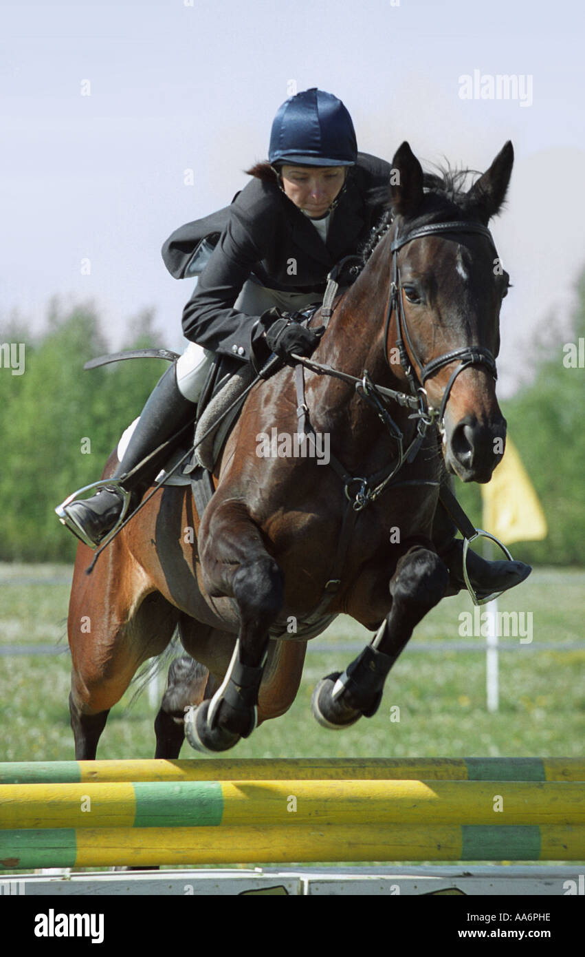 Girl riding thoroughbred horse jumping hi-res stock photography and ...