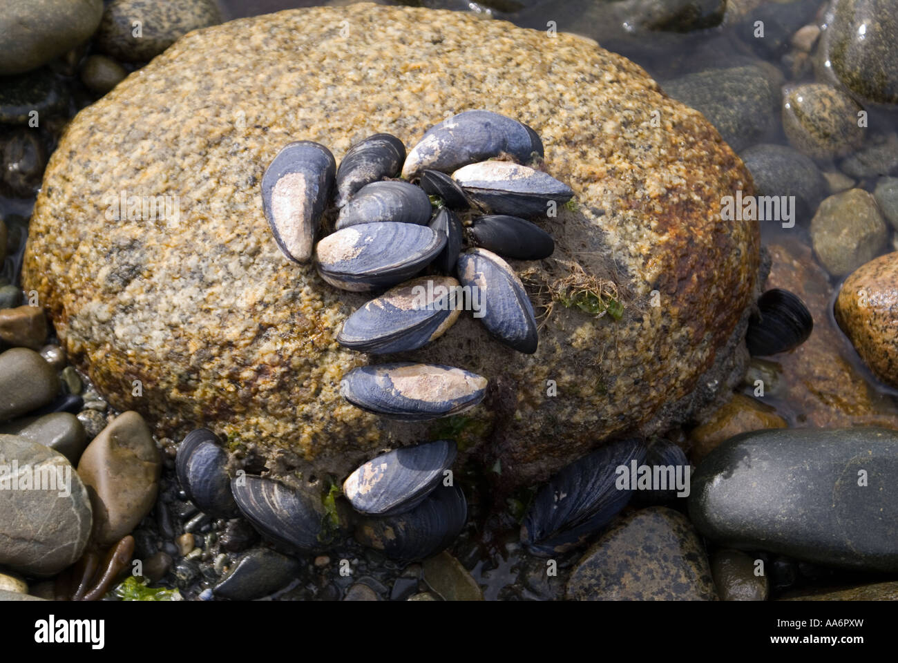 Punto arenas hi-res stock photography and images - Alamy