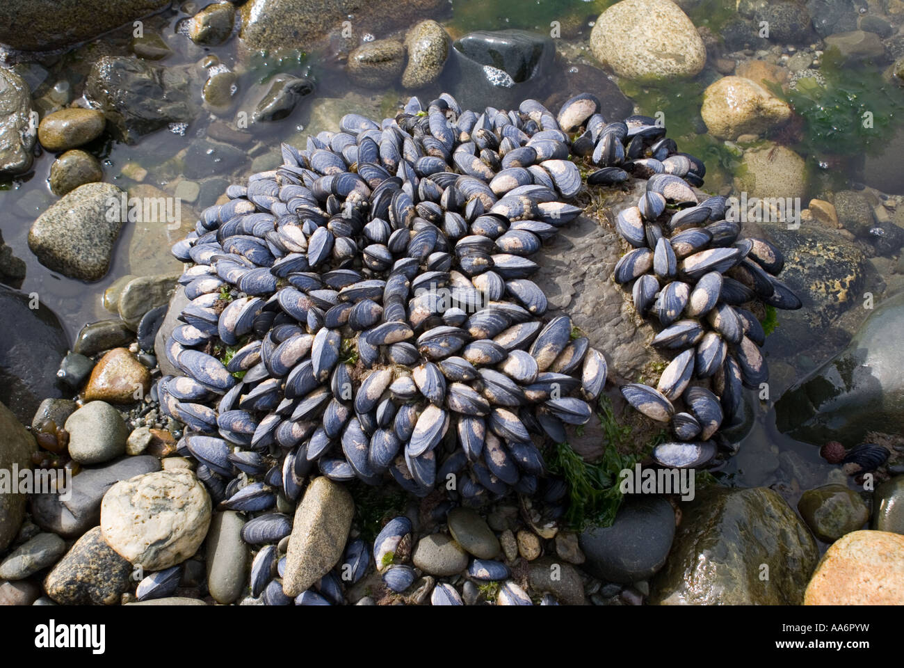 Punto arenas hi-res stock photography and images - Alamy