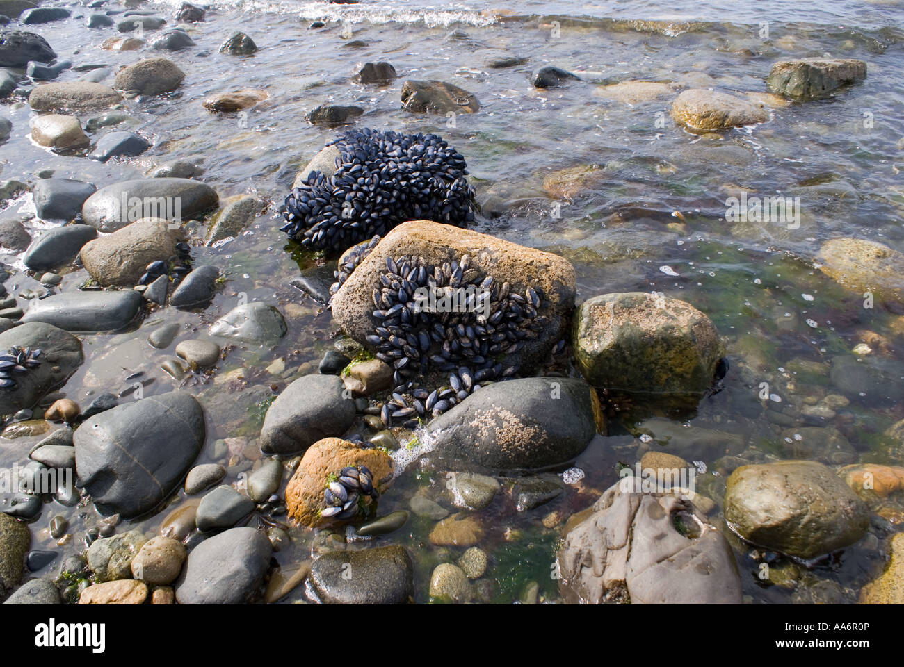 Punto arenas hi-res stock photography and images - Alamy