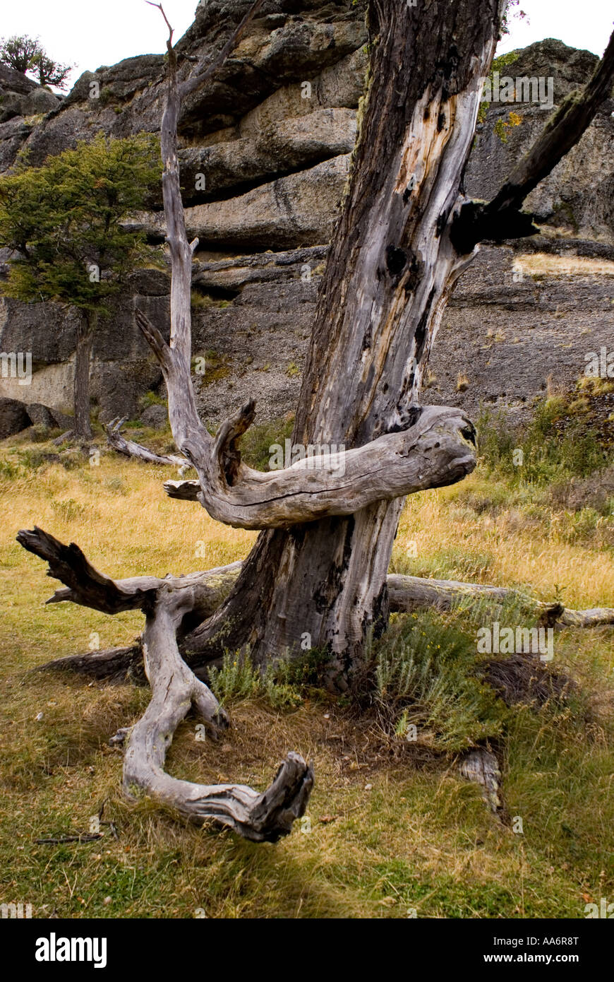 Cueva del milodon hi-res stock photography and images - Alamy