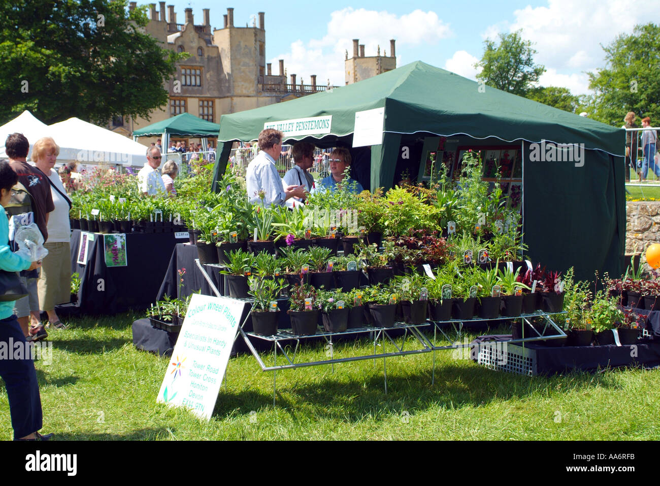 Flea Market stall selling plants Stock Photo - Alamy
