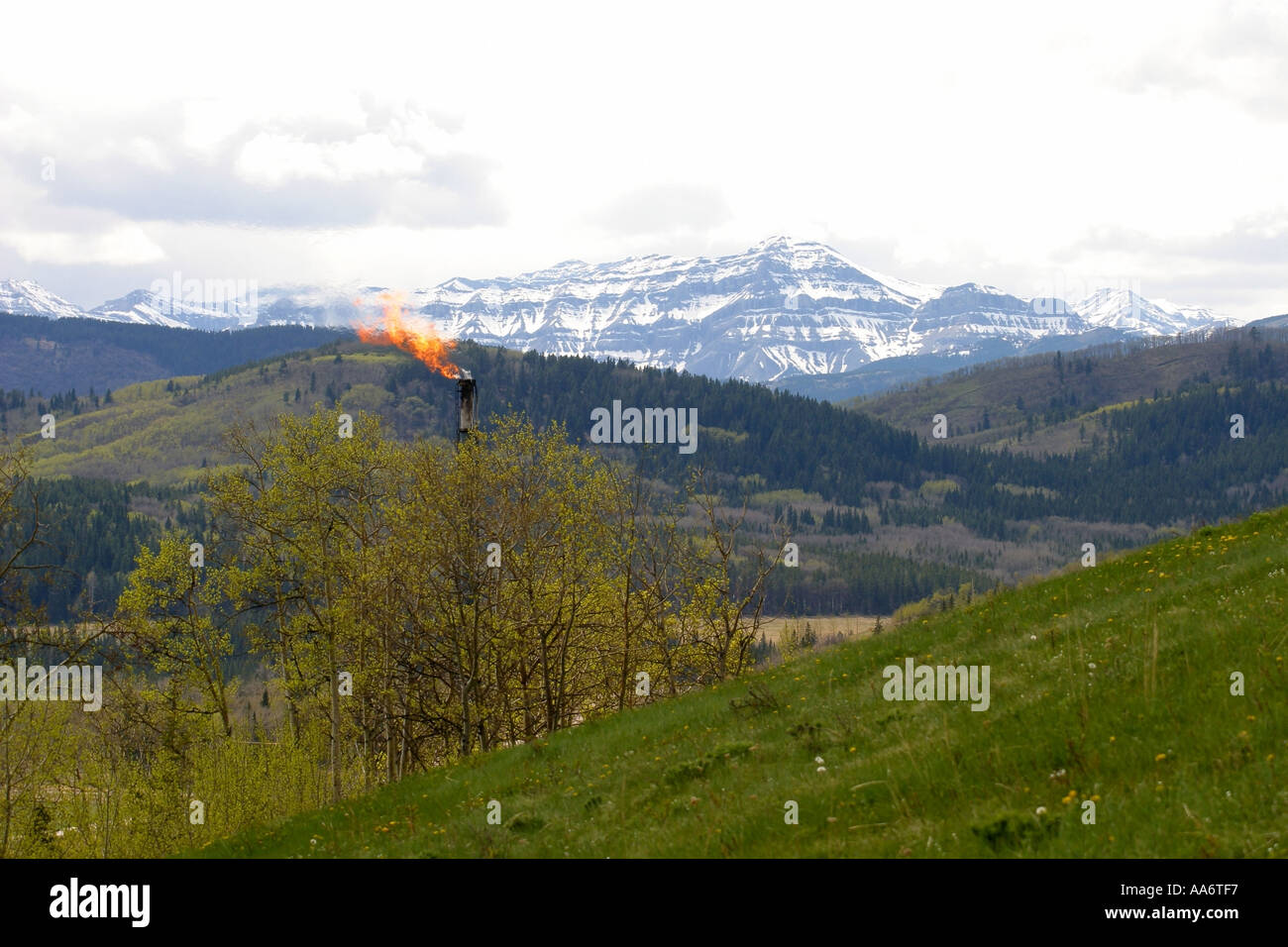 Oil and gas fire drill hi-res stock photography and images - Alamy