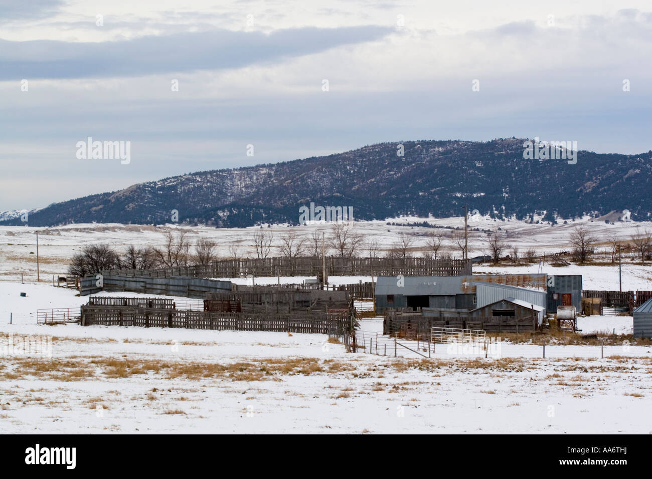 Barns in the in the snow on a cattle ranch in Wyoming WY USA Stock ...