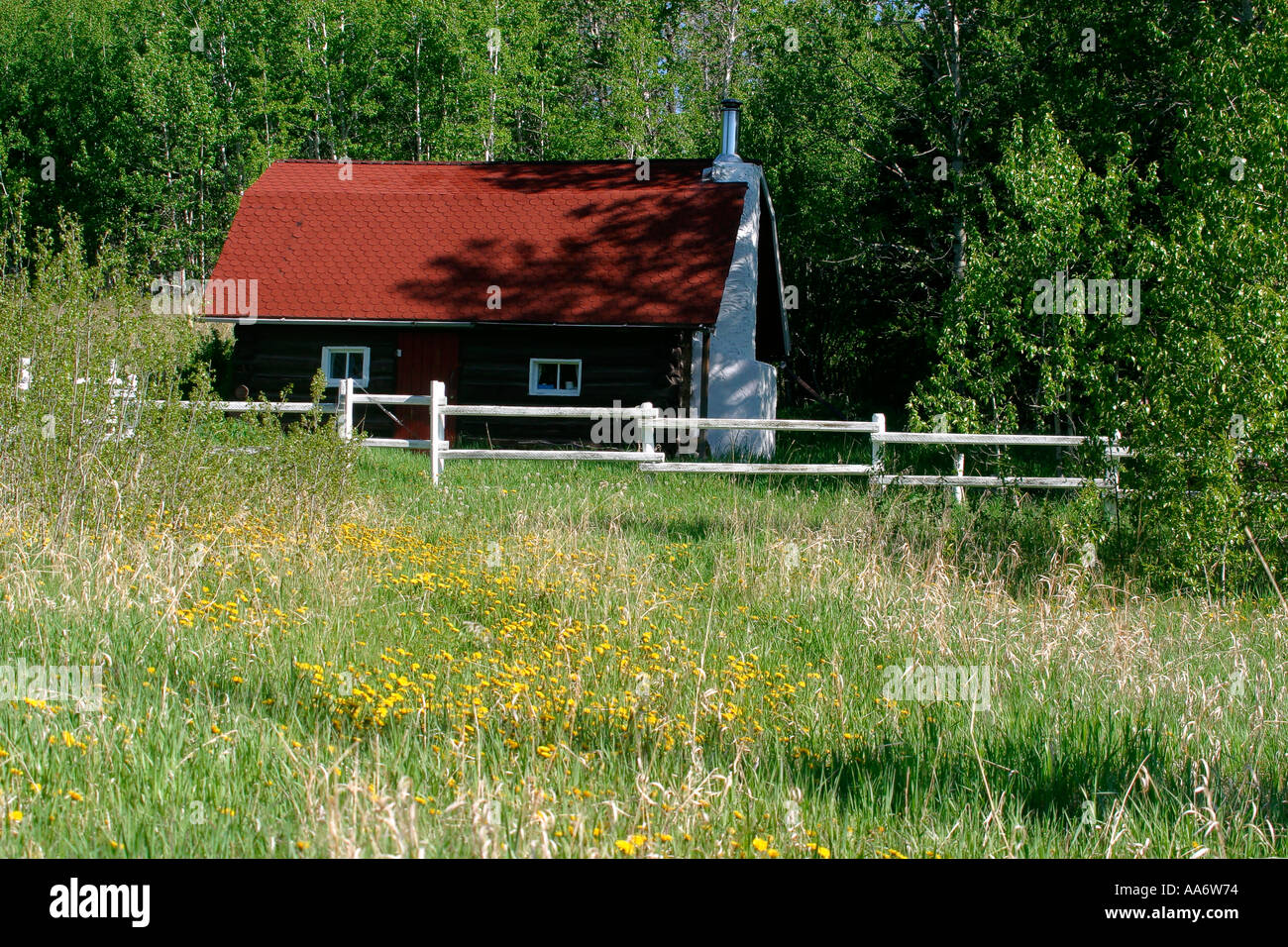 Old abandoned homestead Stock Photo - Alamy