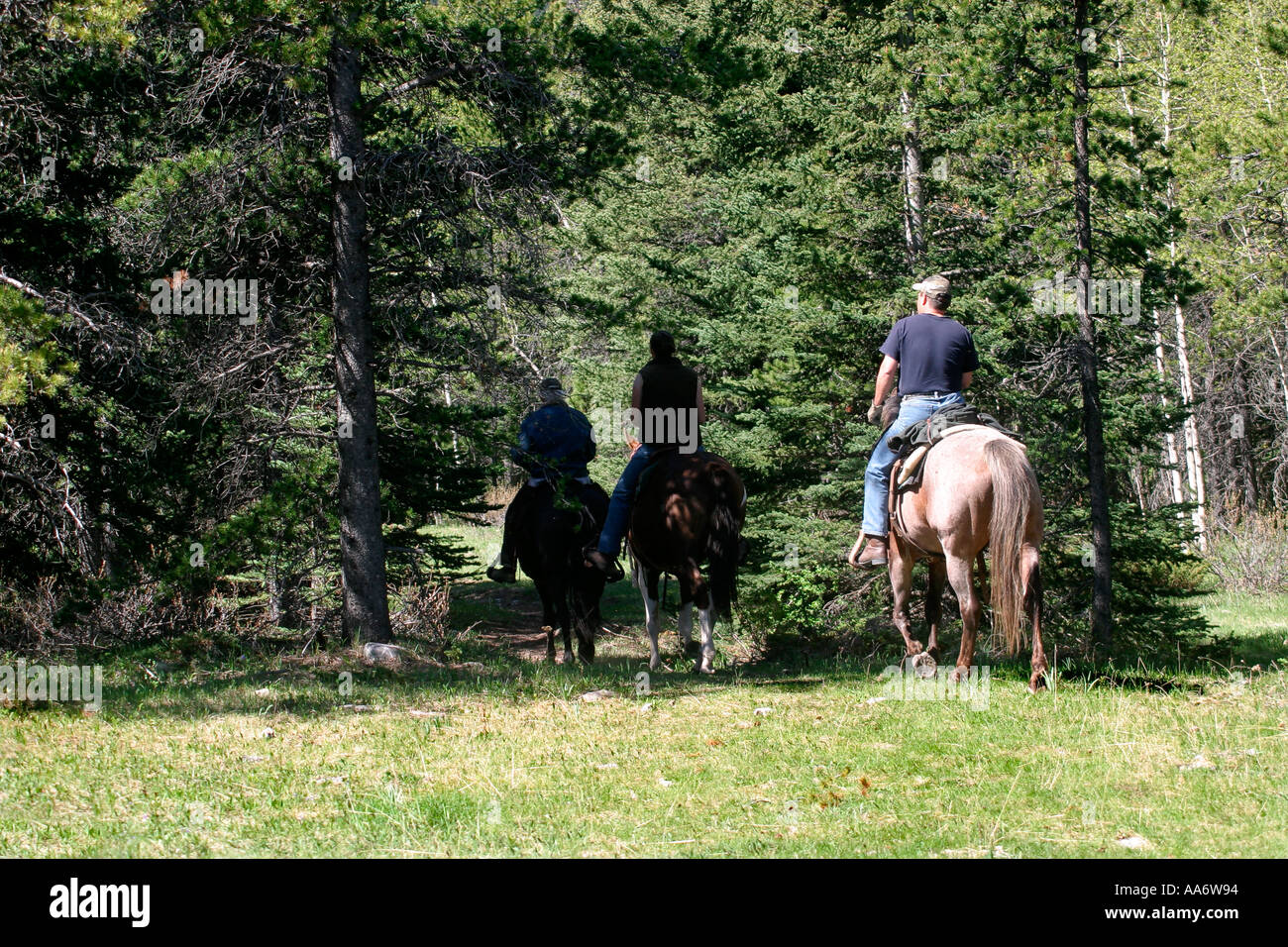 Trail companions hi-res stock photography and images - Alamy