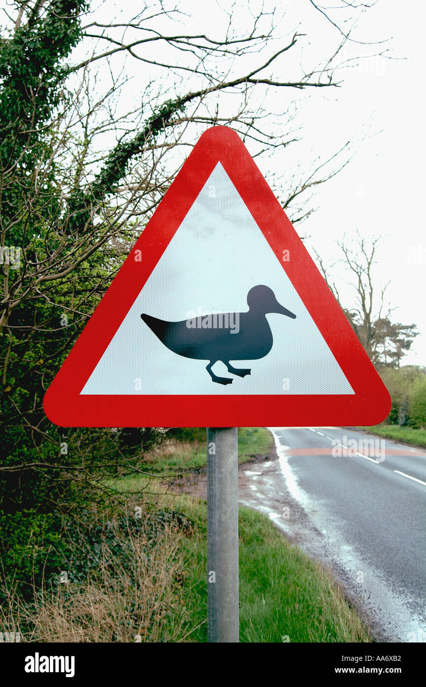Ducks Crossing Road Sign Stock Photos & Ducks Crossing Road Sign Stock ...