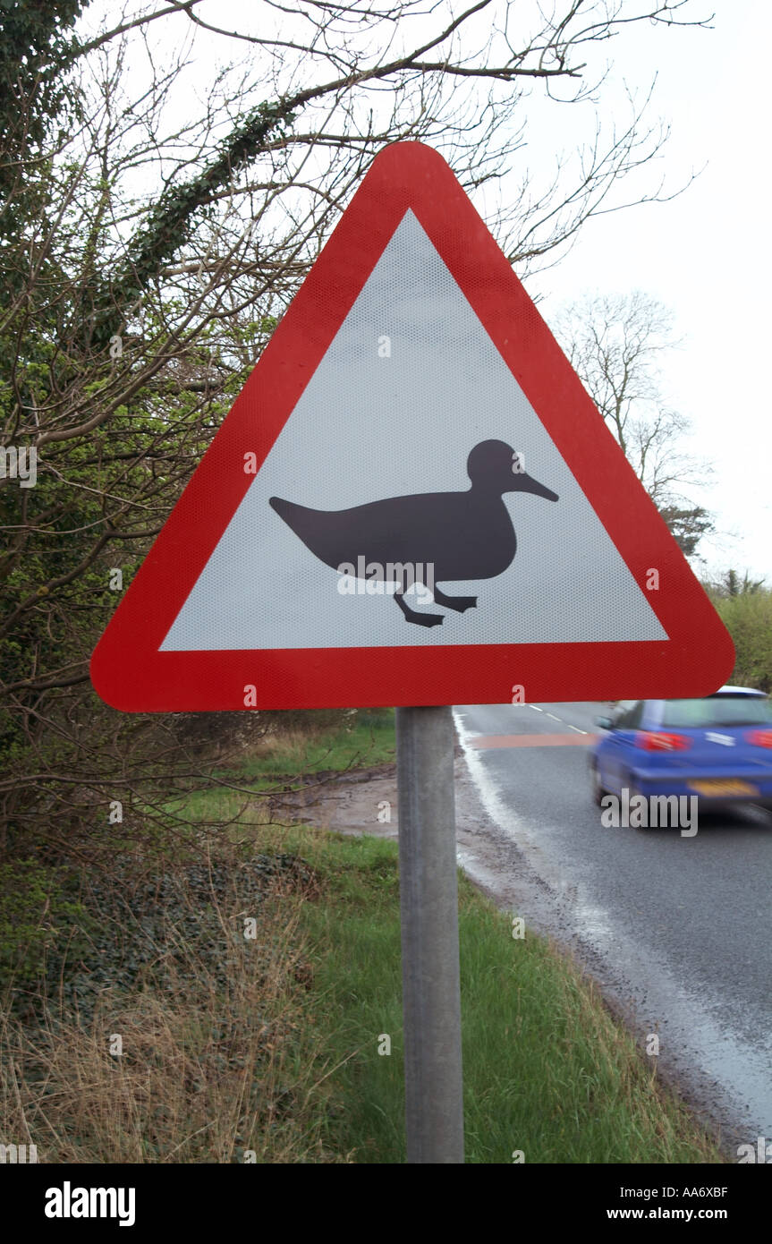 Sign Warning Ducks Crossing Road Stock Photos & Sign Warning Ducks ...