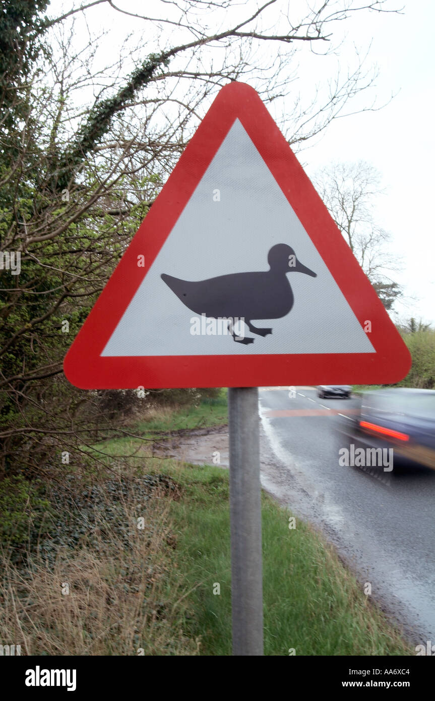 Warning ducks crossing uk road sign hi-res stock photography and images ...