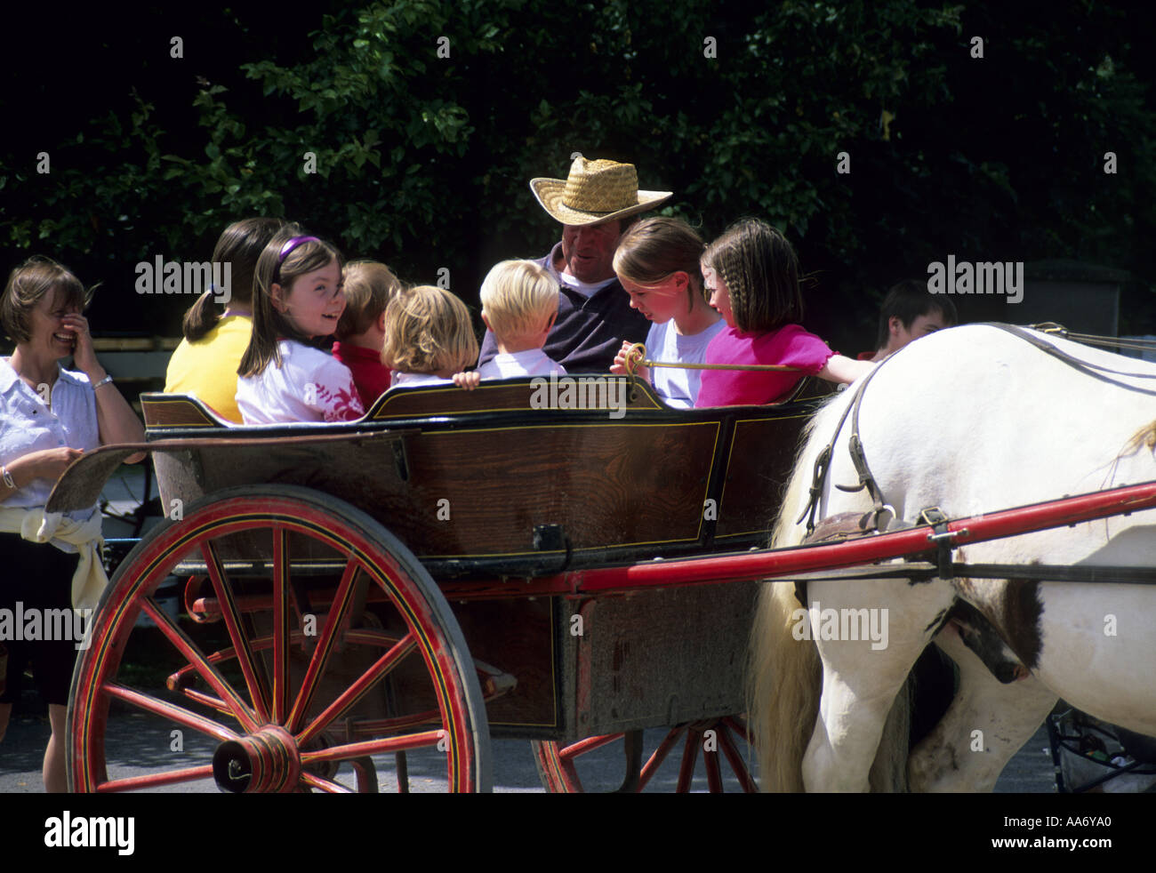 Pony and trap hi-res stock photography and images - Alamy