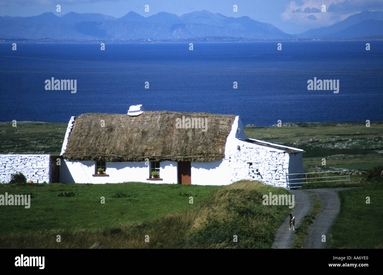 Traditional irish thatched whitewashed cottage hi-res stock photography ...