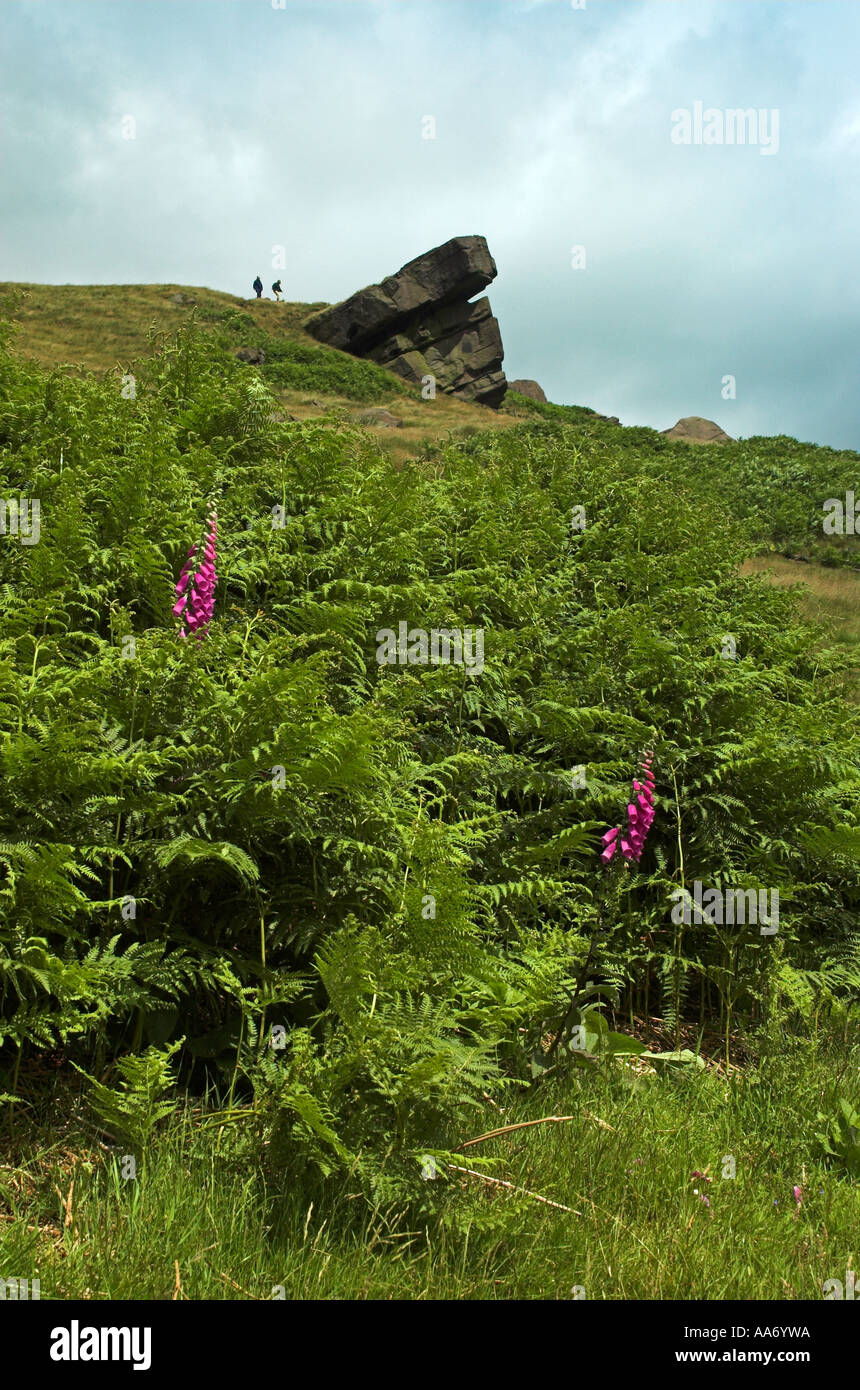 Hanging stone hi-res stock photography and images - Alamy
