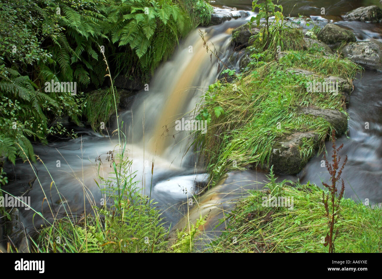 River Dane in the Peak District Stock Photo - Alamy
