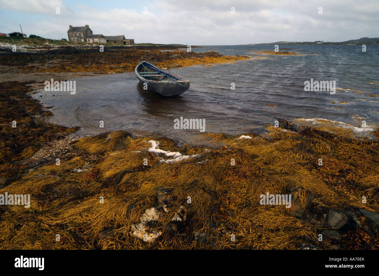 Currach boat galway hi-res stock photography and images - Alamy