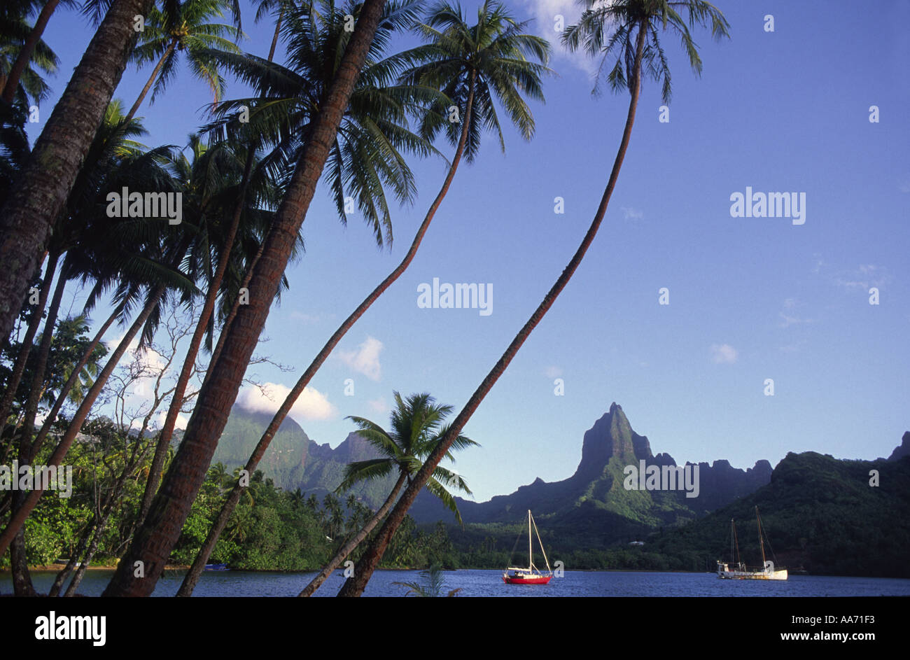 French polynesia sailing yacht hi-res stock photography and images - Alamy