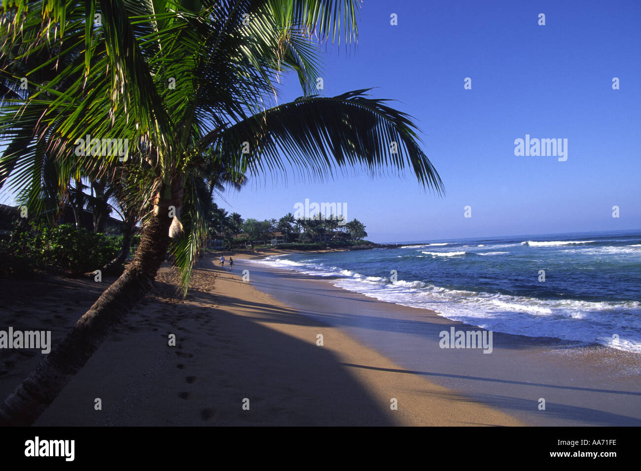 Napili Beach Maui Hawaii USA Stock Photo - Alamy