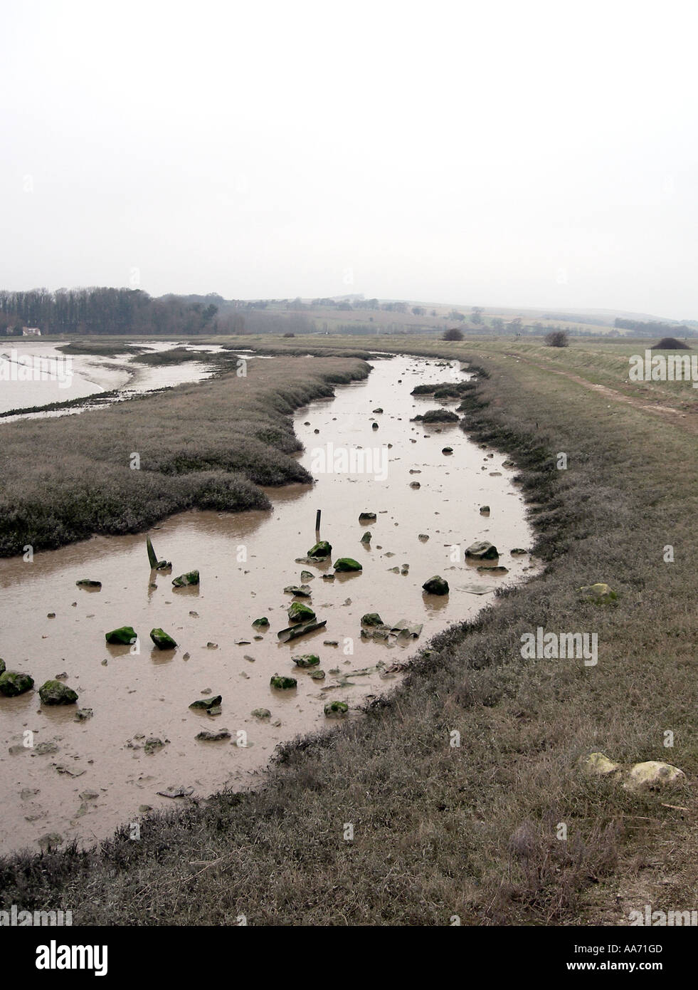 Common name: River Stock Photo - Alamy