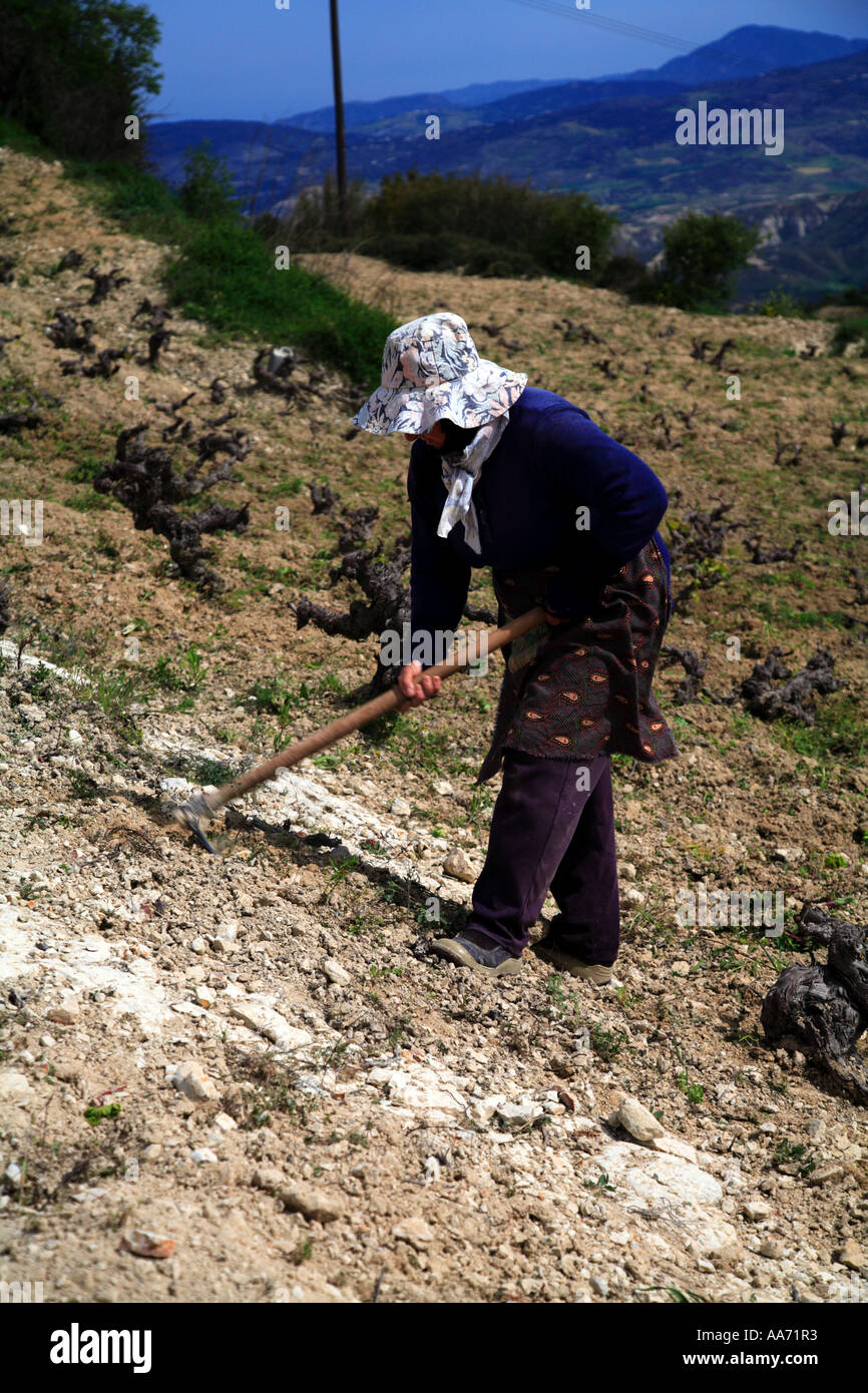 Woman Hand Tilling Soil on Vineyard Stock Photo - Alamy