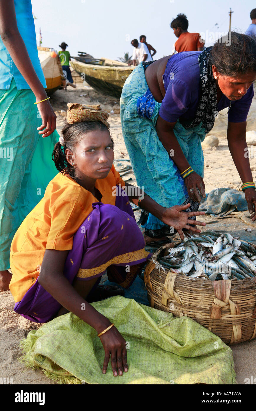 Landing fish at Puri beach, Orissa, India Stock Photo - Alamy