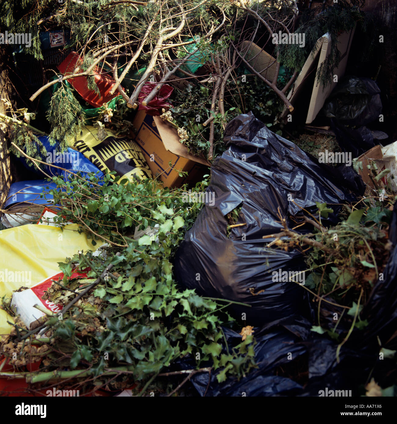 Garden rubbish including black plastic bin bags for sorting and ...