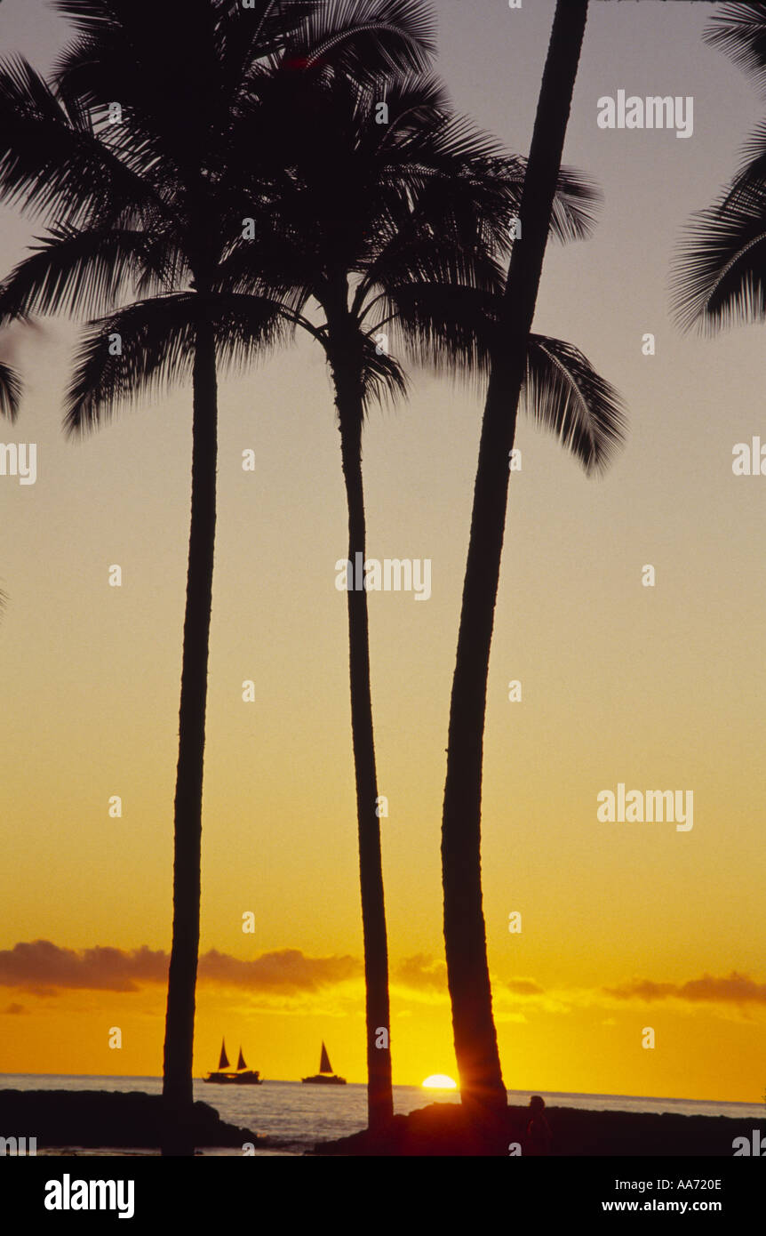 Sunset Ala Moana Beach Park Waikiki Oahu Hawaii Stock Photo - Alamy