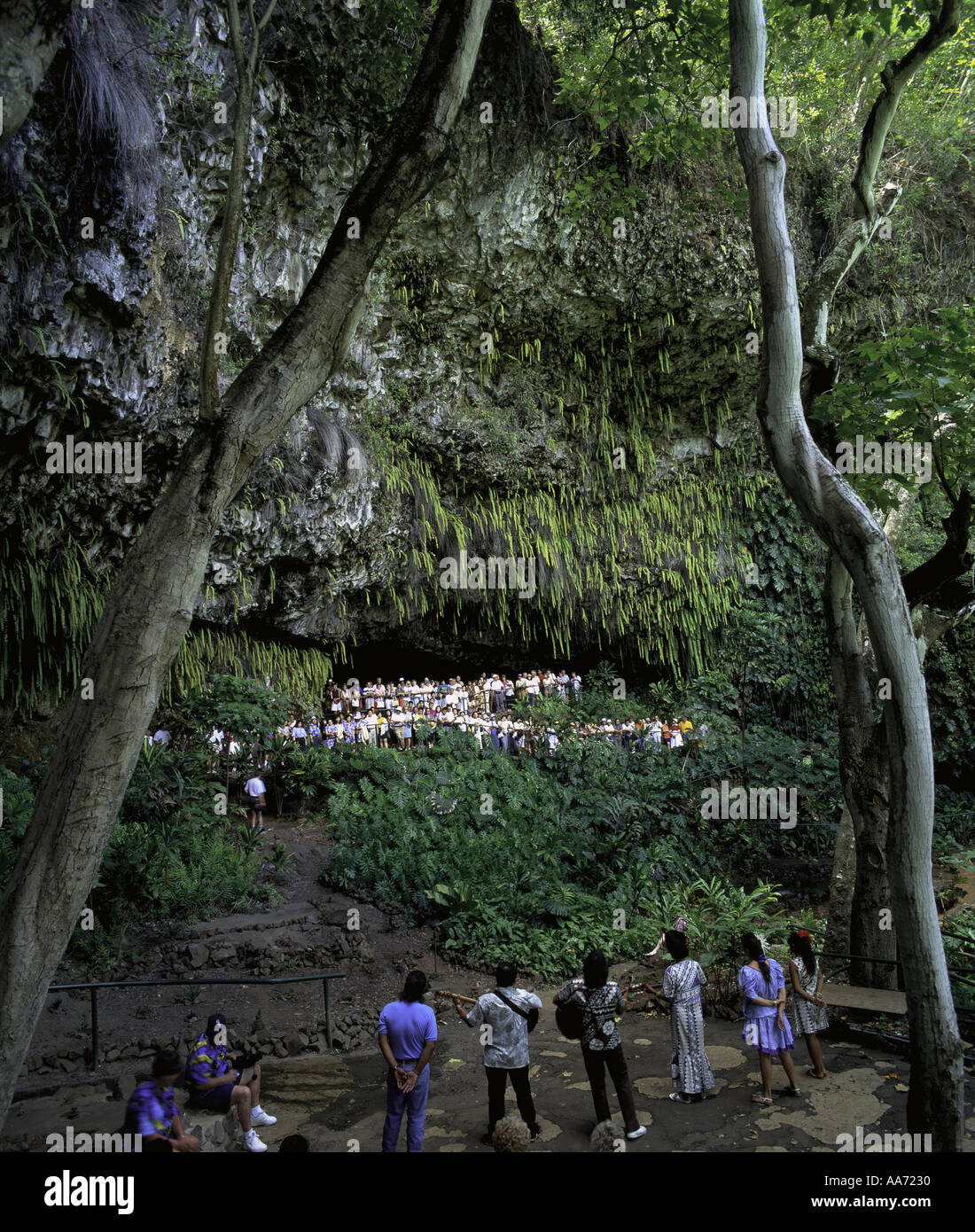Fern Grotto Wailua River Kauai Hawaii USA Stock Photo - Alamy