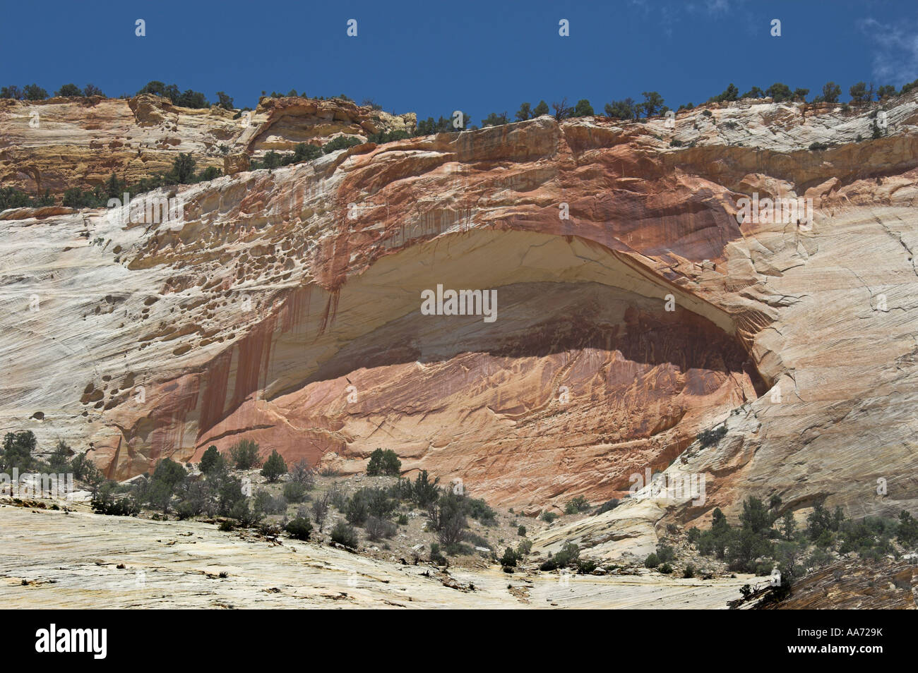 Blind Arch, Zion Canyon Stock Photo - Alamy