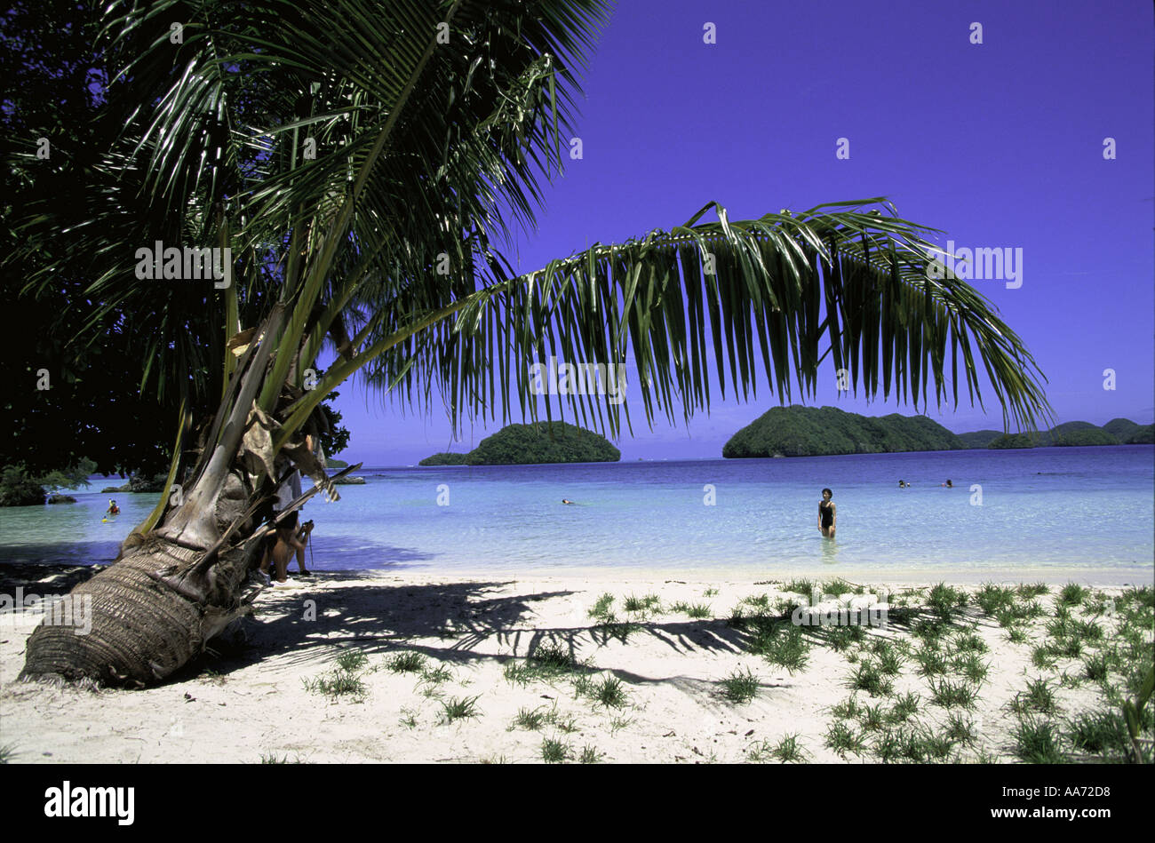 Micronesia palau beach beaches hi-res stock photography and images - Alamy
