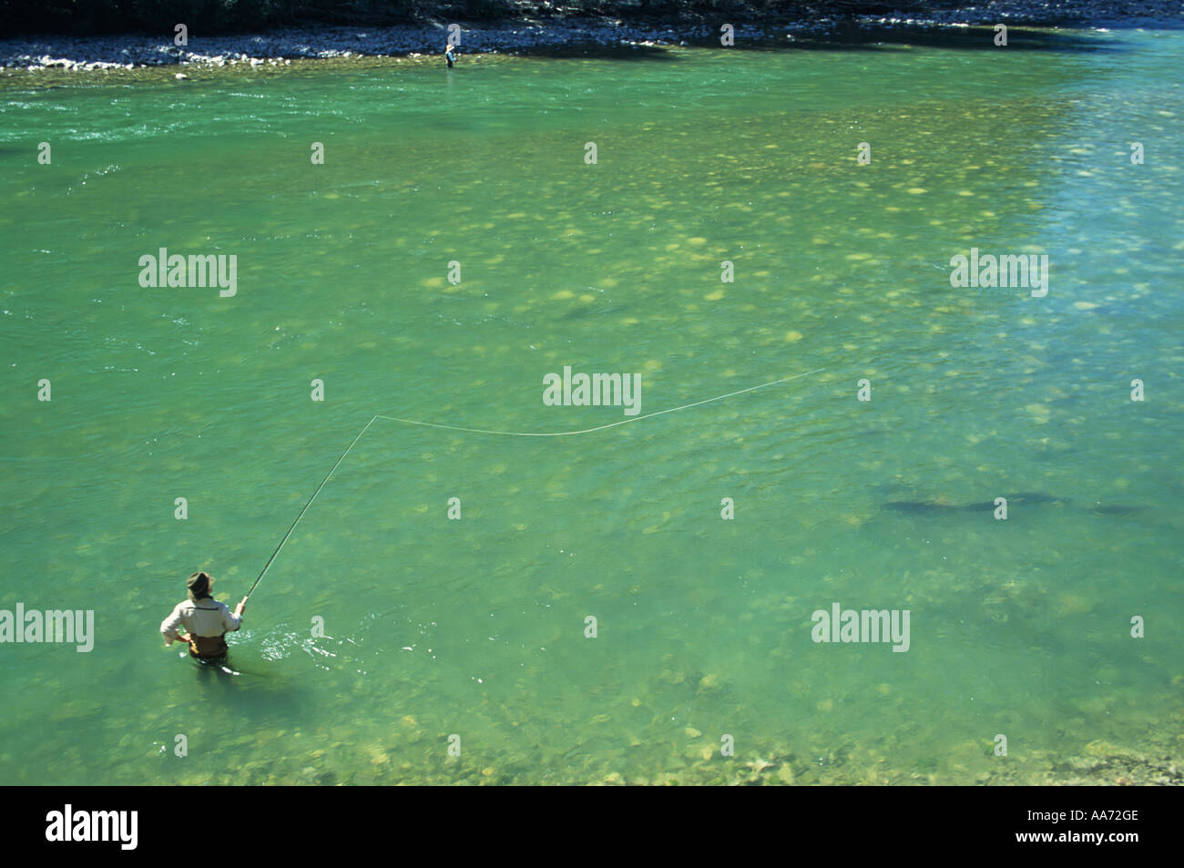 Flyfisherman and spawning chinook salmon below Dean river British ...