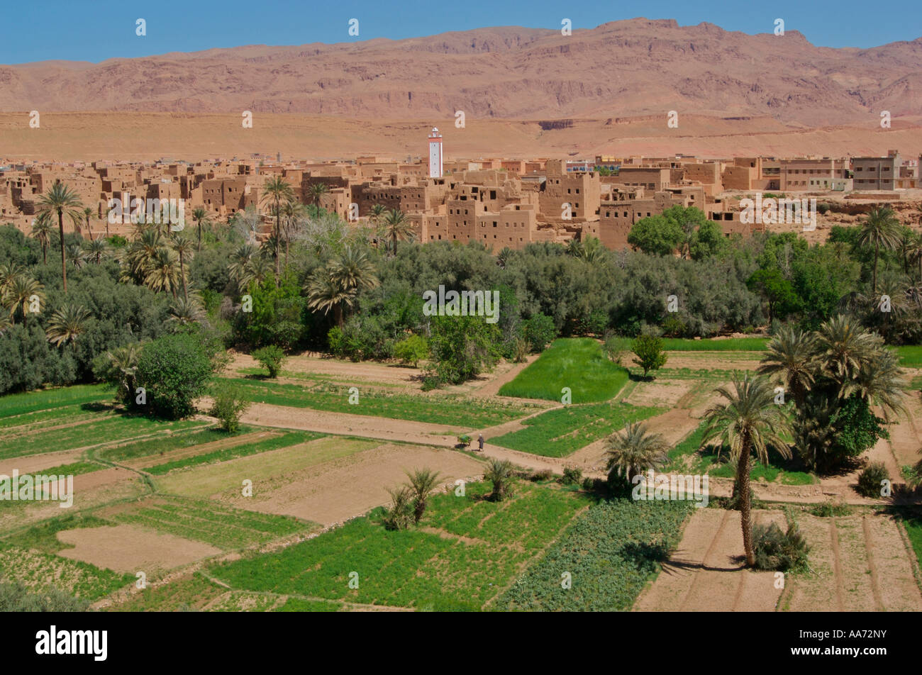 Tinerhir Morocco North Africa Stock Photo - Alamy