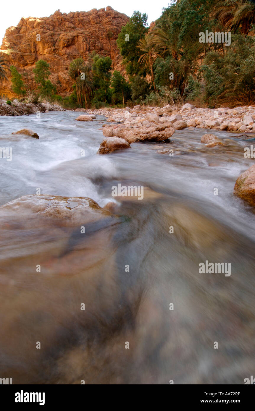 River Todra Gorge Morocco North Africa Stock Photo - Alamy