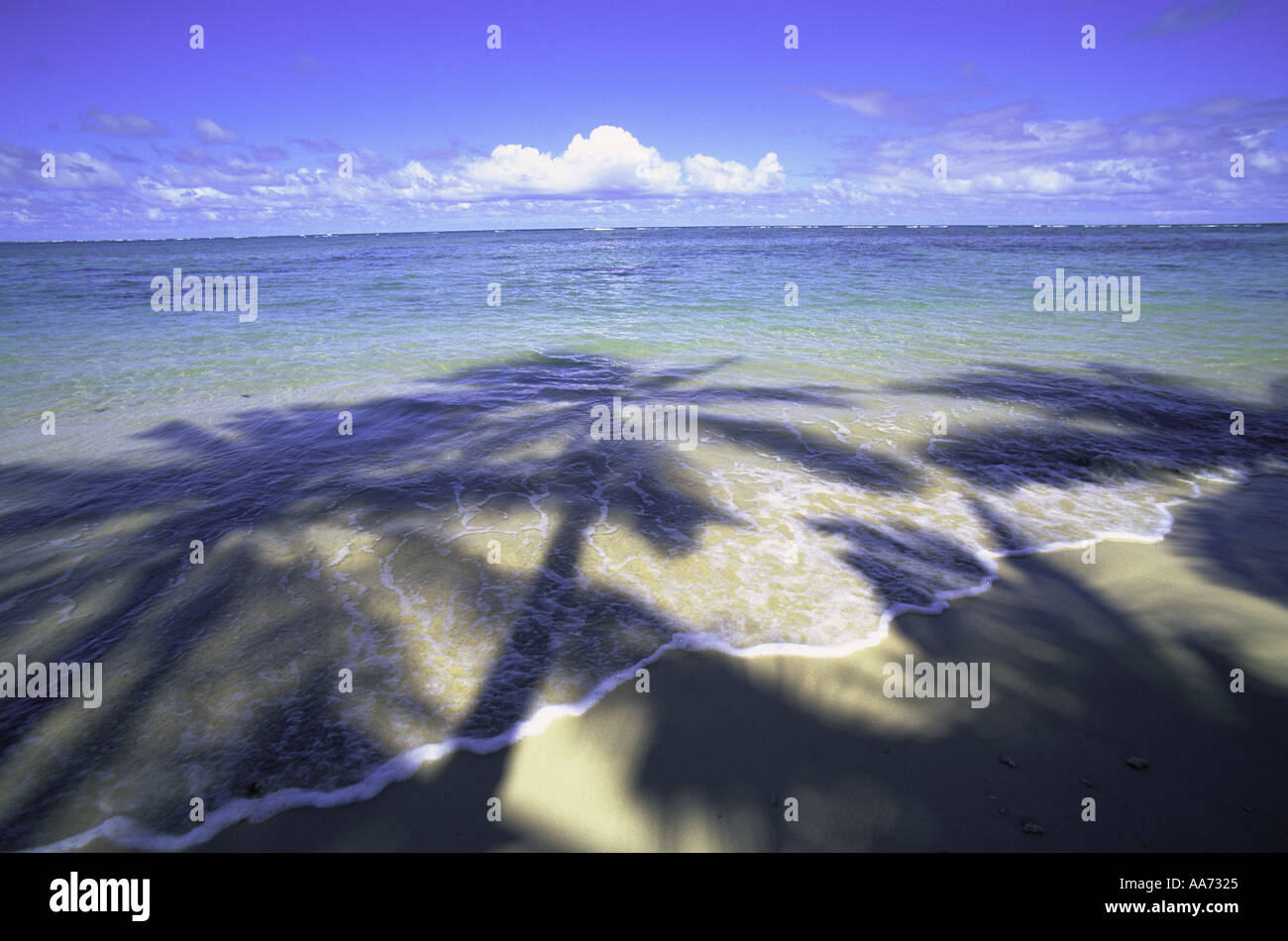 Beach with palm shadow Stock Photo - Alamy