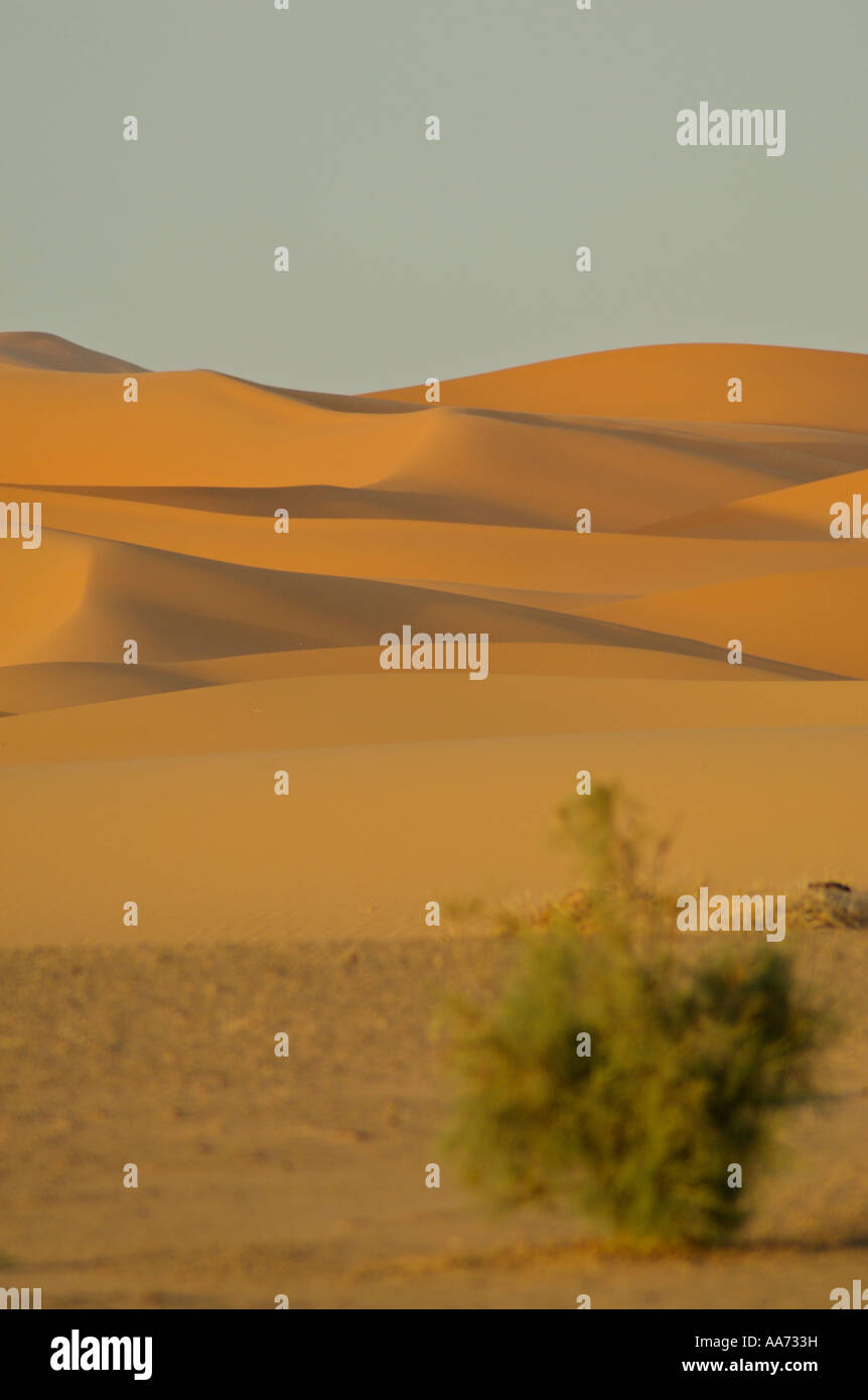 Saharan desert sand dunes Erg Chebbi Morocco North Africa Stock Photo ...