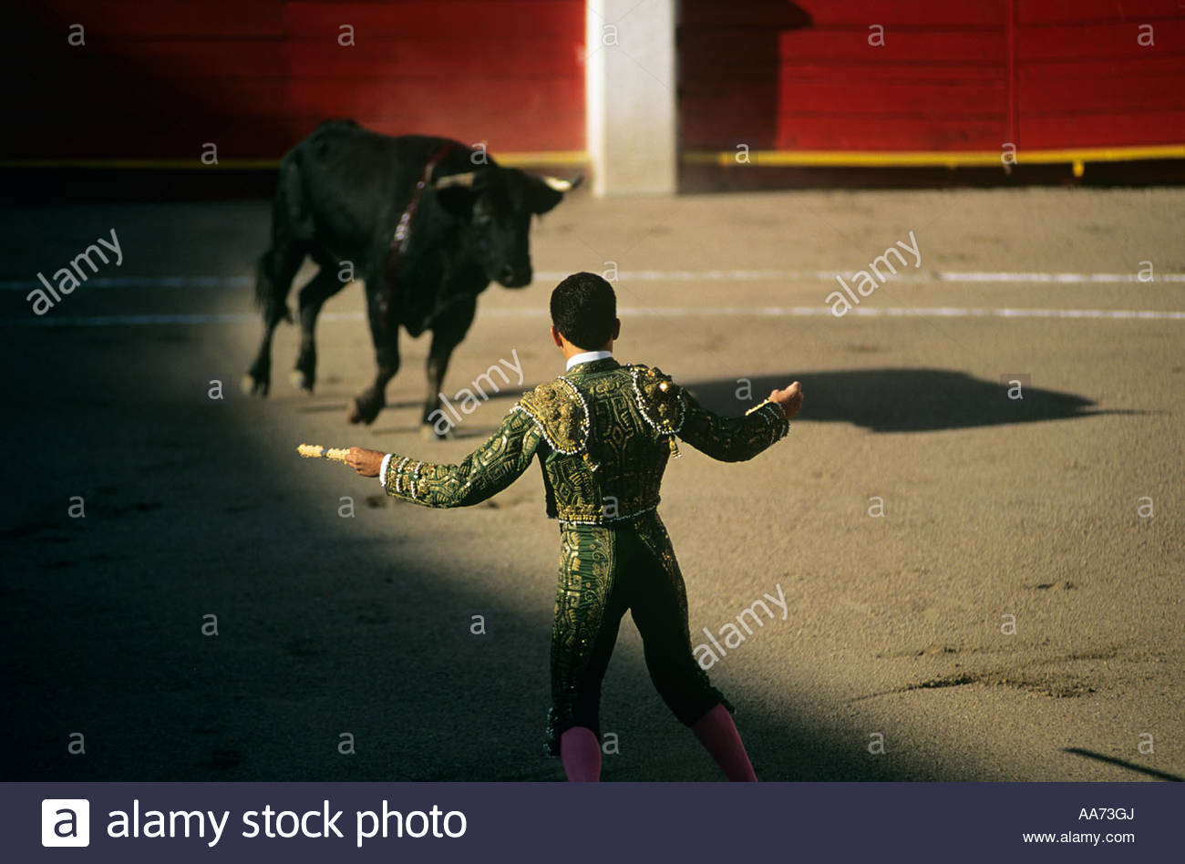 Fierce Bull High Resolution Stock Photography and Images - Alamy