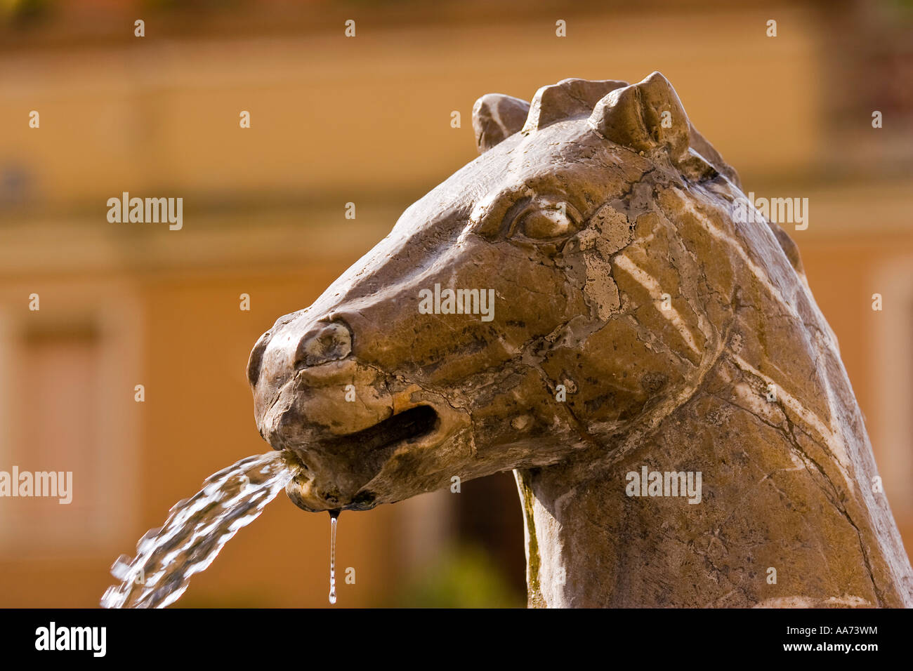 One of four horse heads surrounding the Centaur fountain at Piazza ...