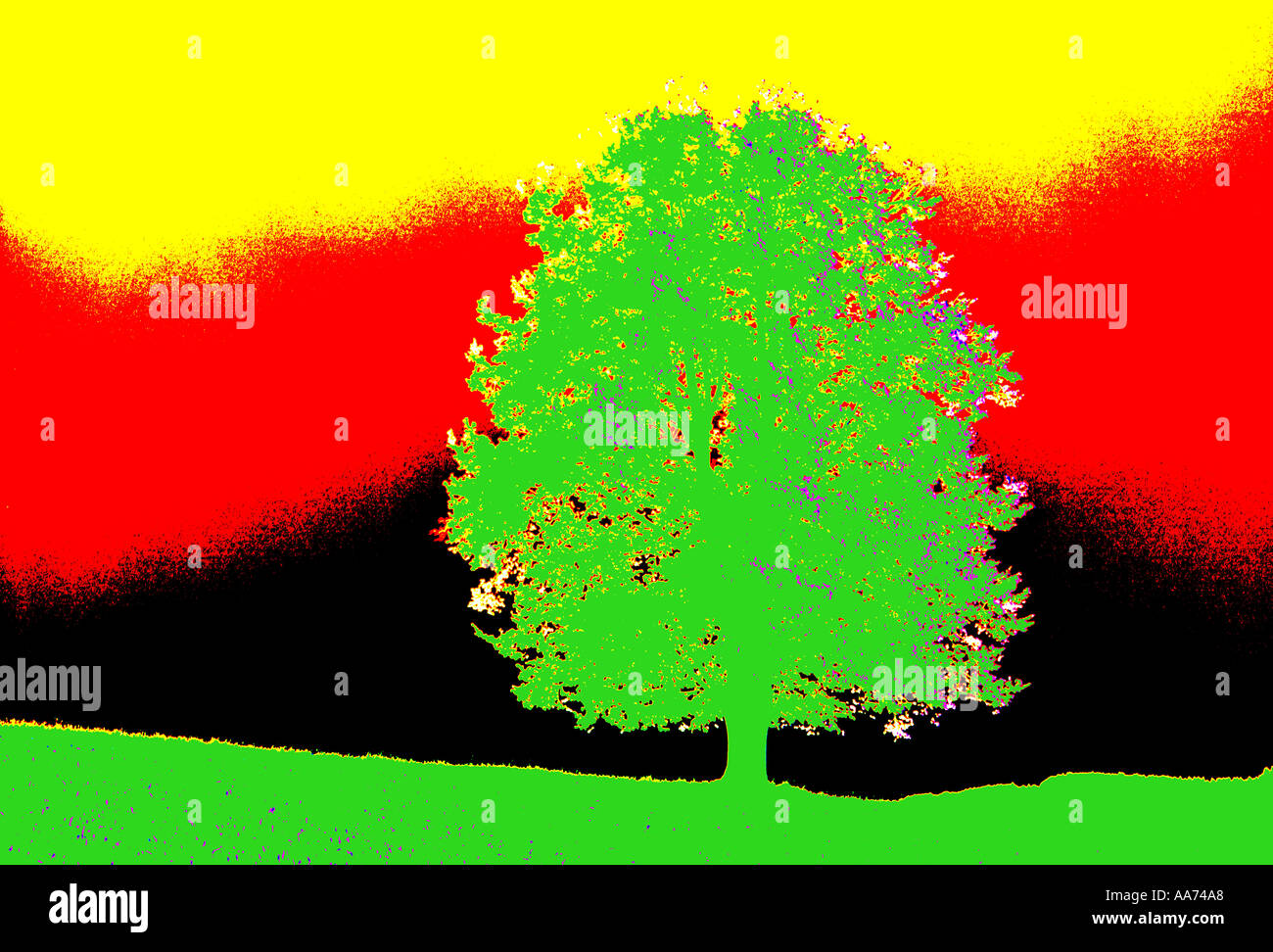 Symbolic tree oak tree grapic sky in the colors of german flag german ...